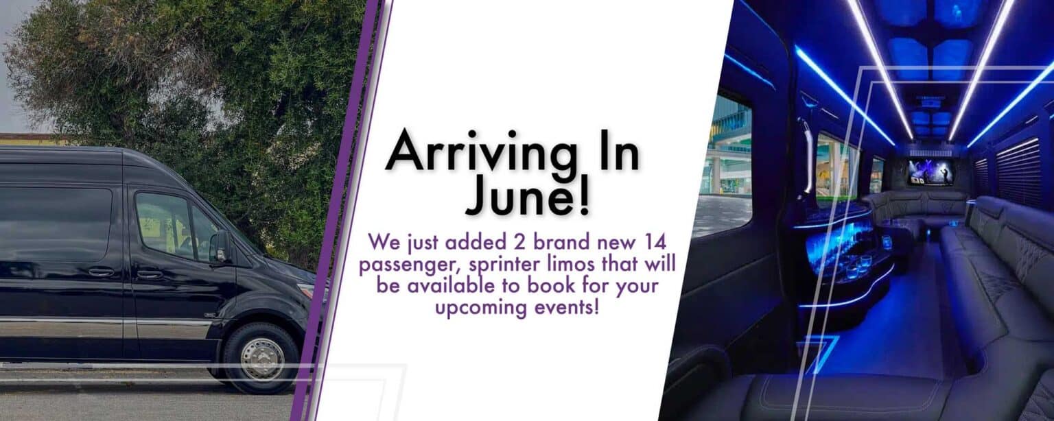 Platinum Party Bus | Cleveland Party Bus Rental